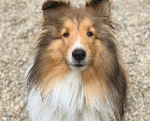 ICI Construction, Inc. Contact Information #1 Best